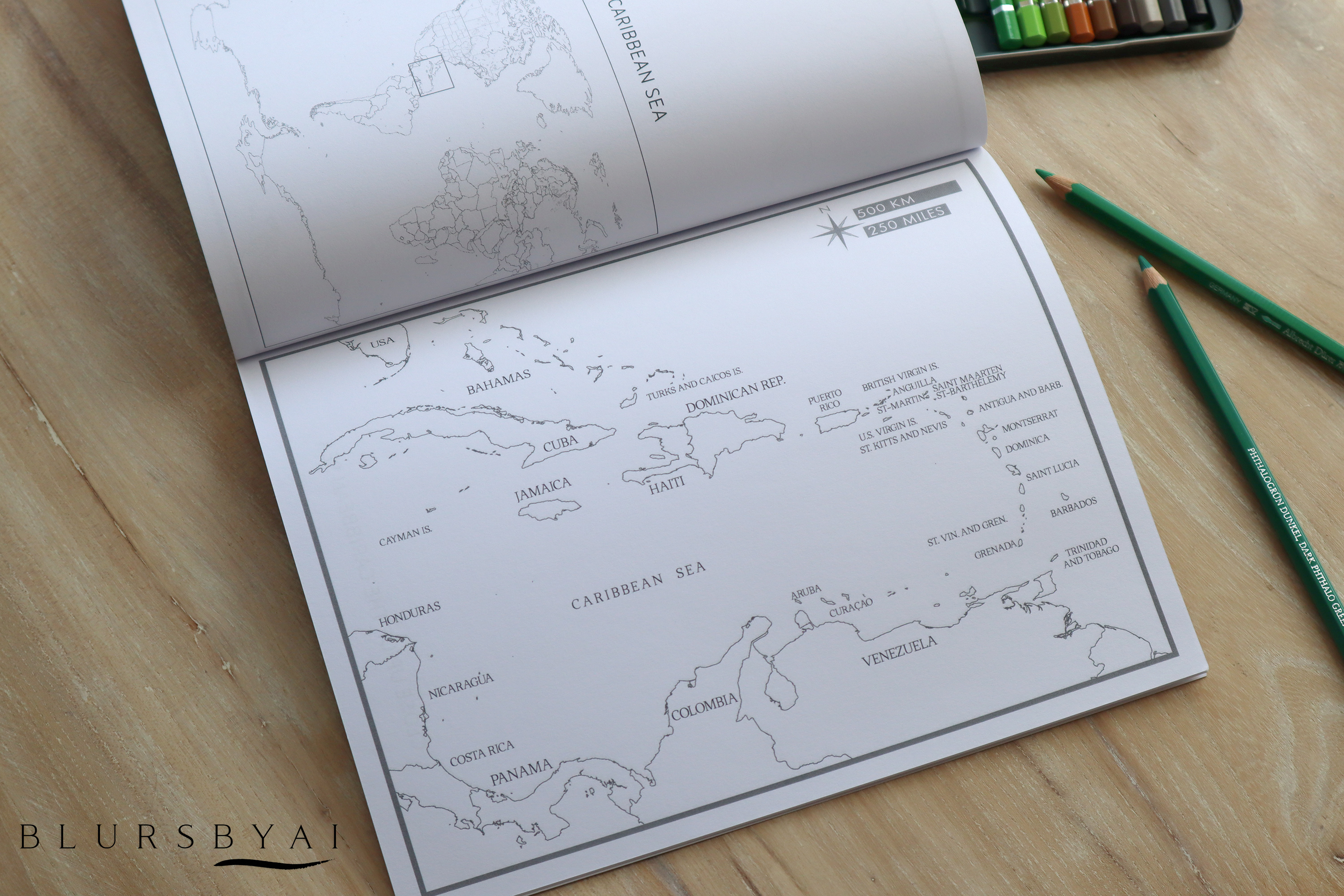 paint the world coloring book with world maps and country maps (30)